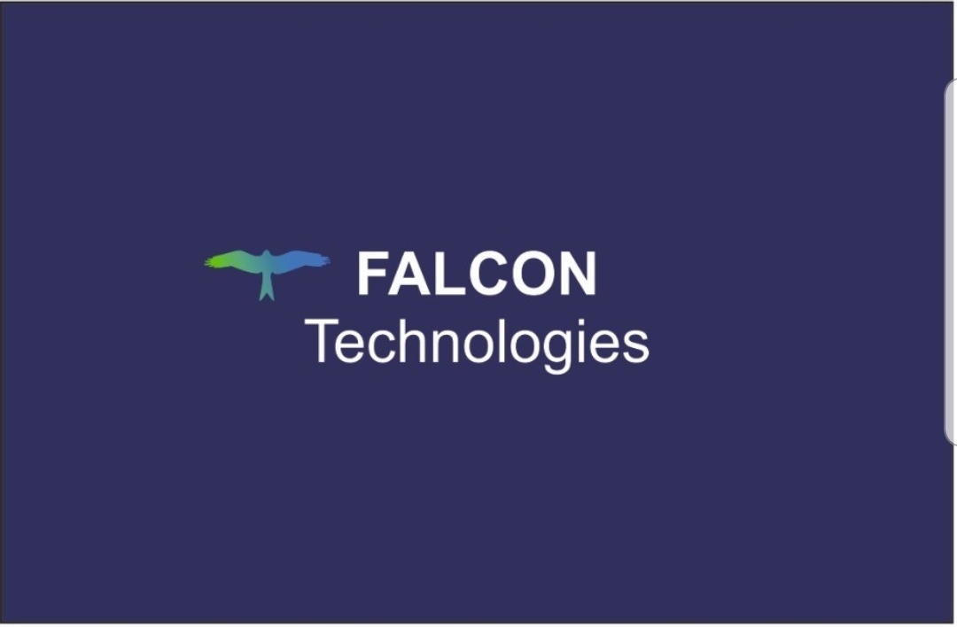 Falcon Technologies, SMART освещение, Видеоаналитика, Анализ целосности ...